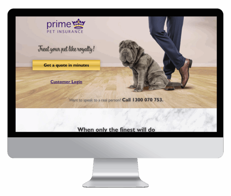 Prime pet insurance - Compare pet insurance plans.