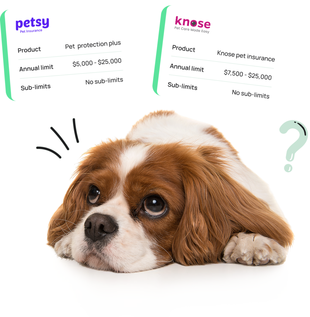 Compare pet insurance in 2026 - find the right pet insurance for you